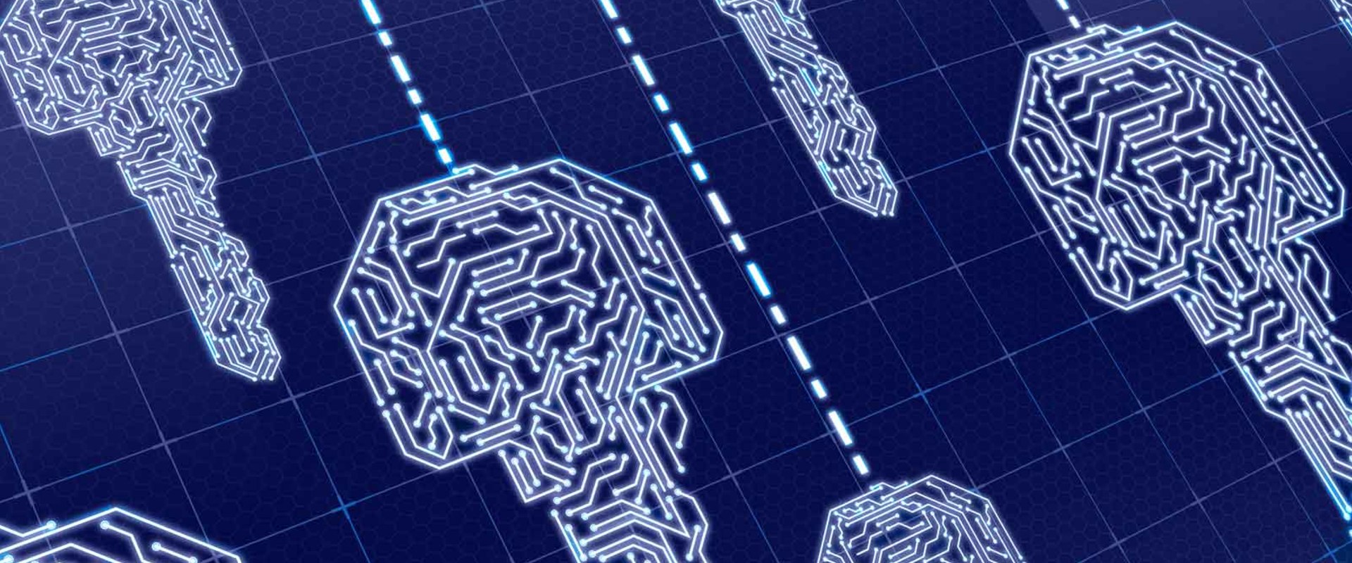 All in 1 Privacy - Your Privacy Matters